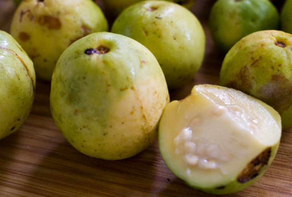 Arrayán Salvadoreño Fresco | Fruta Tradicional Ácida y Aromática en USA